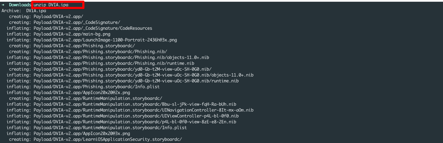The Ultimate Guide To Bypass SSL Pinning in iOS Apps [2024]