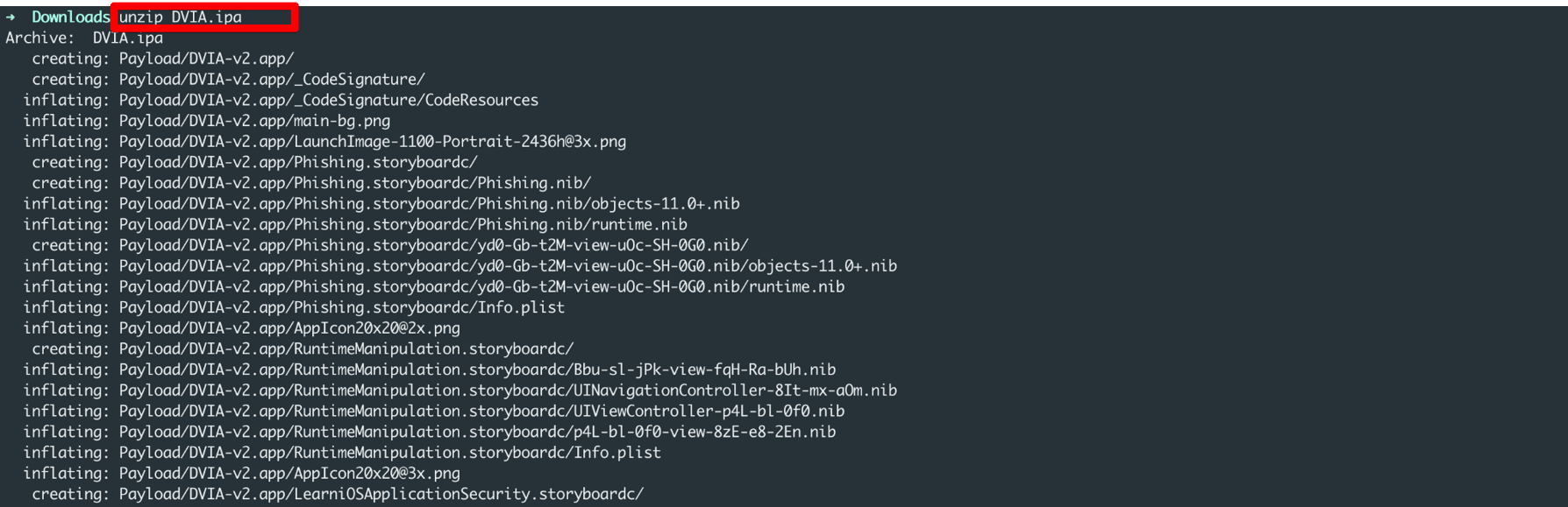 The Ultimate Guide To Bypass SSL Pinning in iOS Apps [2024]